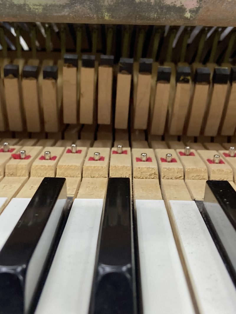 FENDER Rhodes Mark 1 Stage Model Maintenances part2 2023.08.21 ...